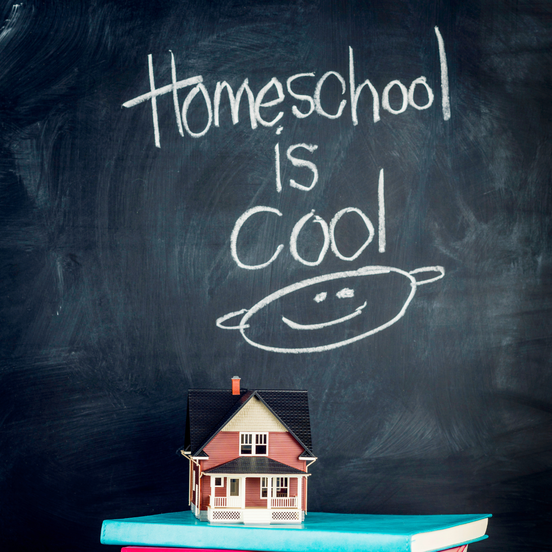 Top 4 Reasons to Homeschool Your Children