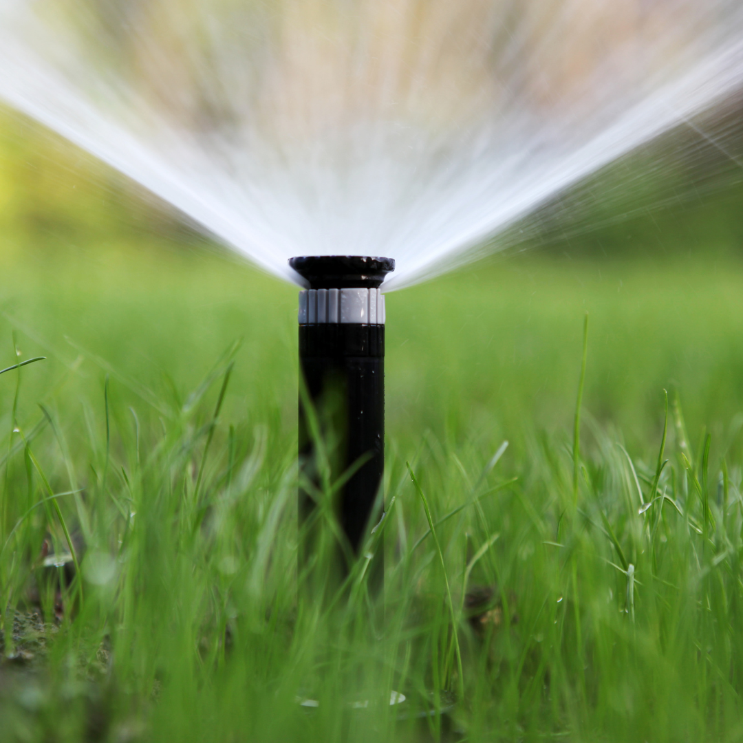 Things To Know Before Installing a Sprinkler System in Your Home ...