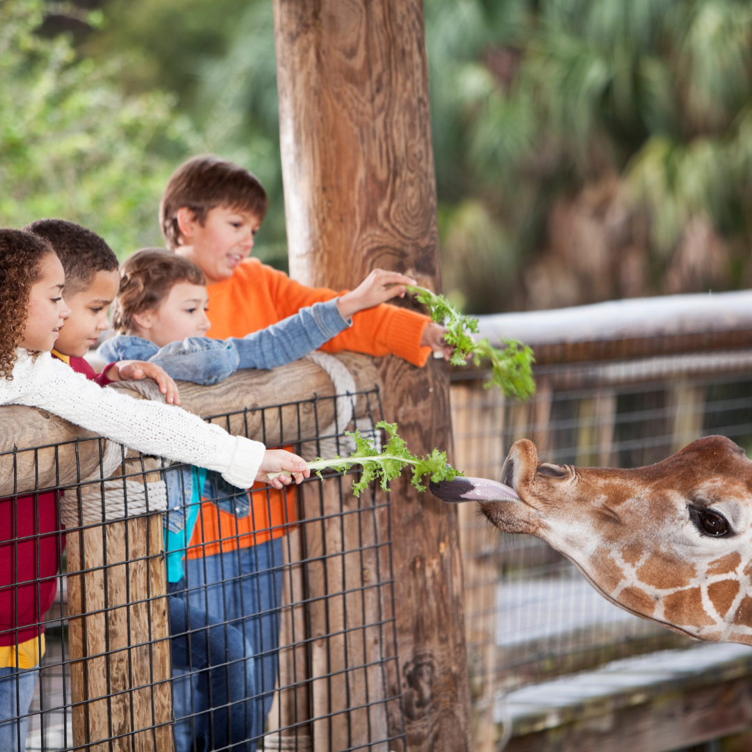 This Saturday - Discounted Day at the Detroit Zoo ALL to Benefit ...