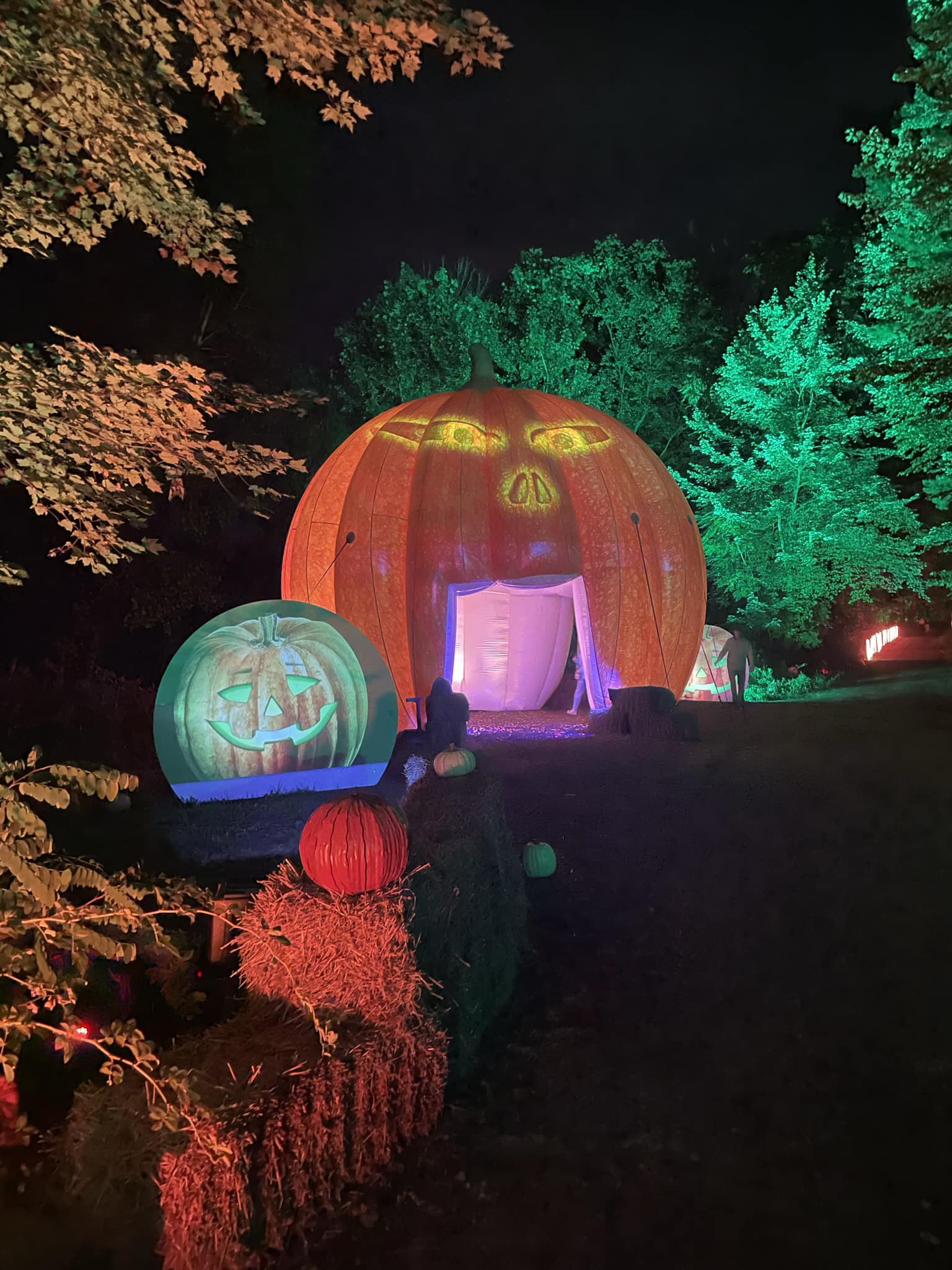Glenlore Trails Illuminated Forest Walk Hosts Free Halloween Night ...