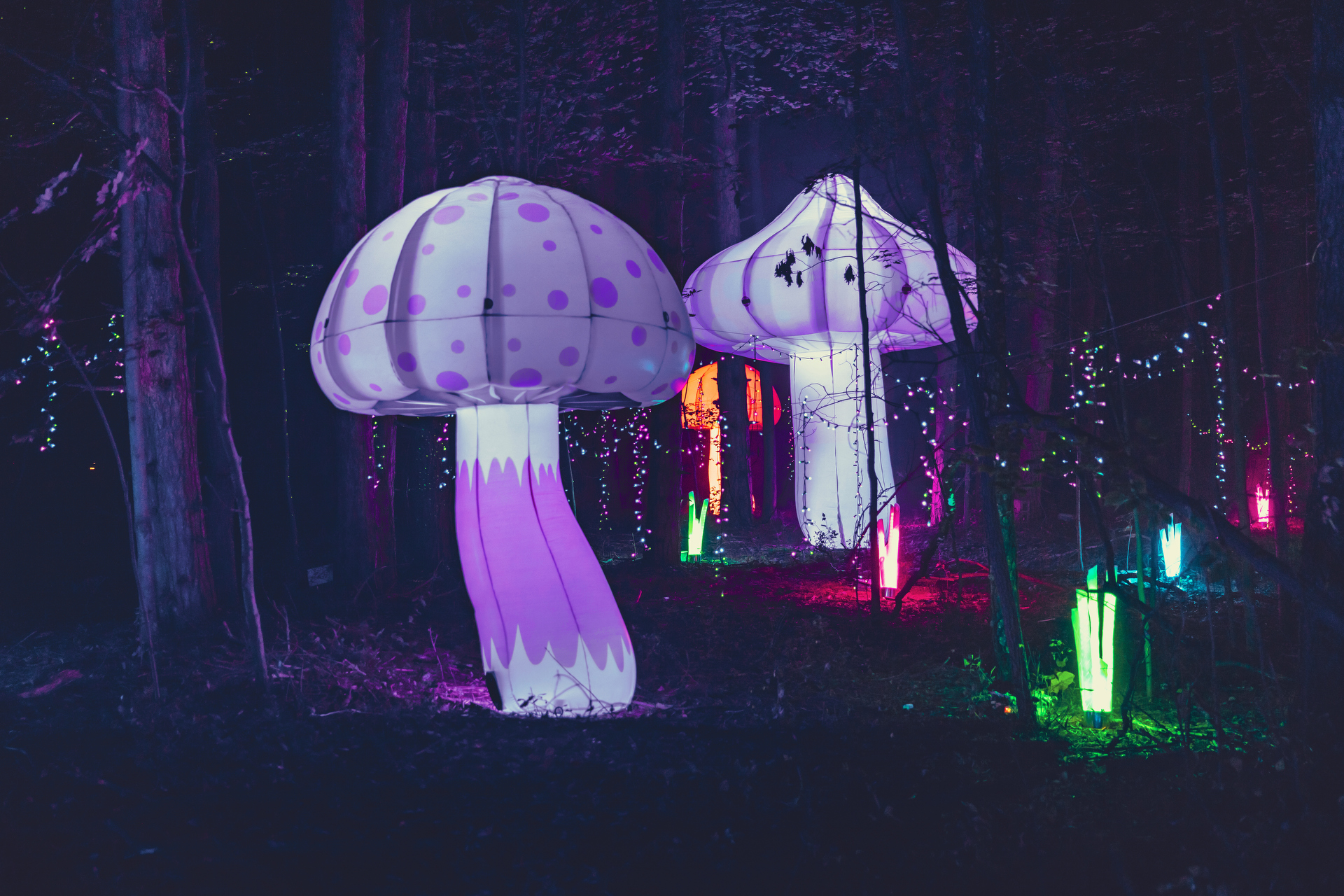 Glenlore Trails - Michigan largest Illuminated Forest Experience to ...