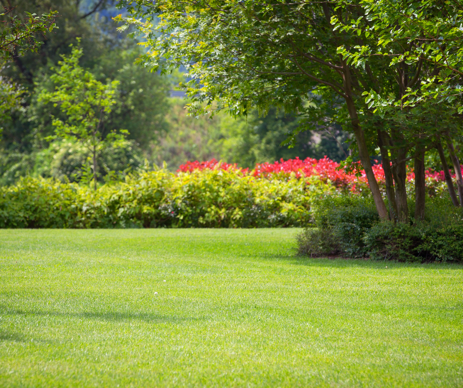 4 Outdoor Features to Work on Now So Your Garden is Springtime Ready