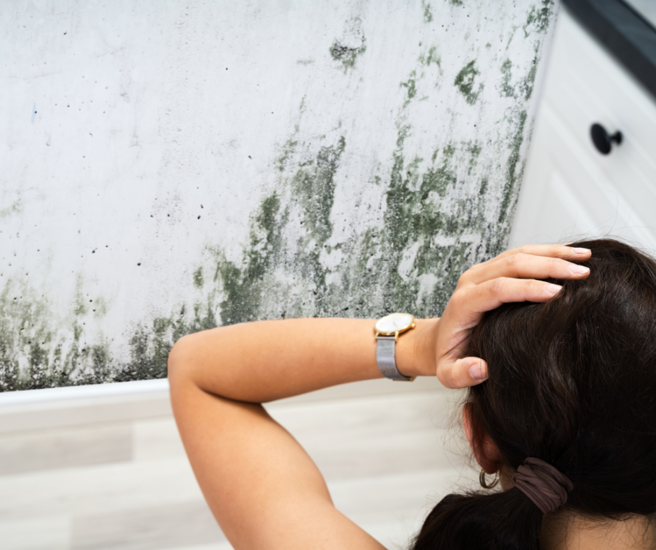 Hidden Dangers: How Mold in Your Home Can Affect Your Family’s Health ...