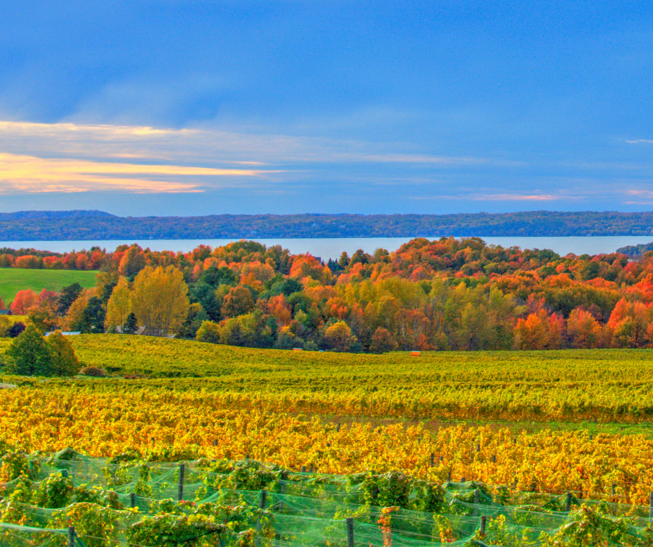 Experience Autumn Like Never Before on World’s Longest Timber-Towered ...