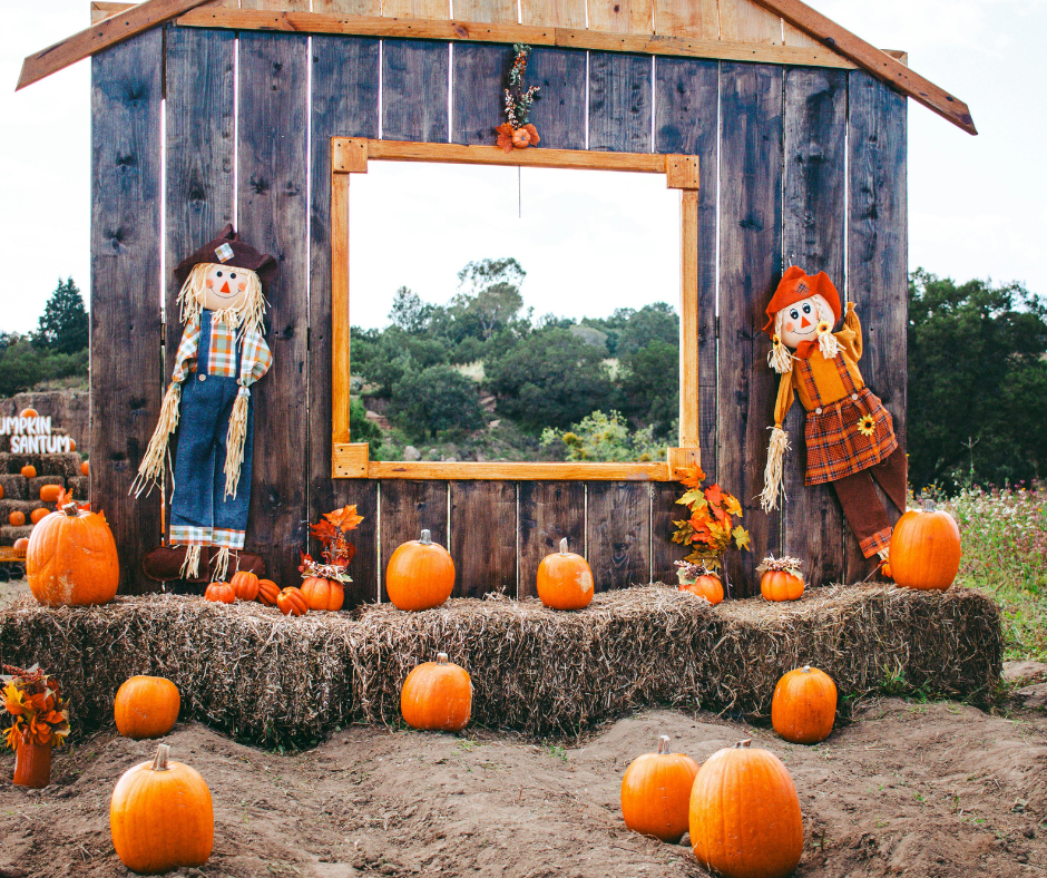 Fremont, Michigan Harvest Festival: A Fall Celebration You Won't Want ...