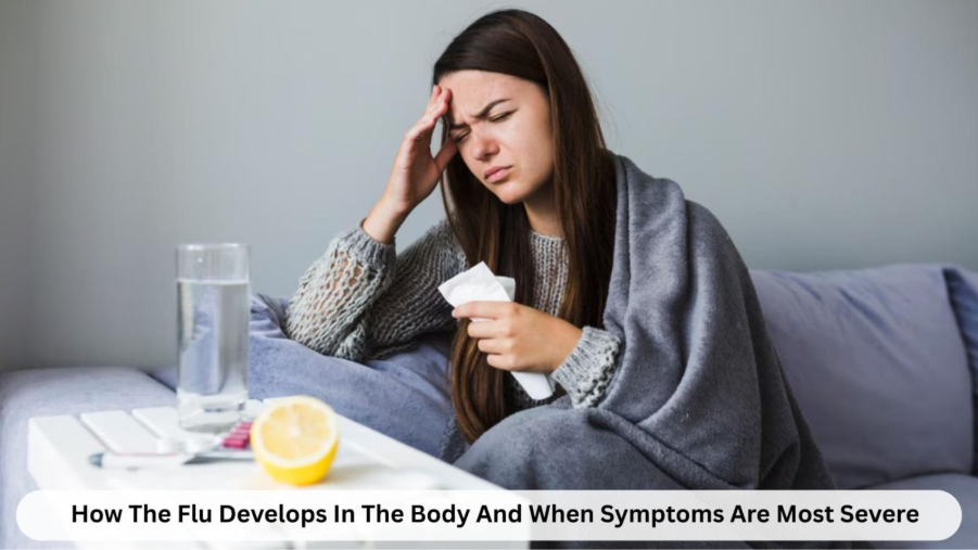 How the Flu Develops in the Body and When Symptoms Are Most Severe